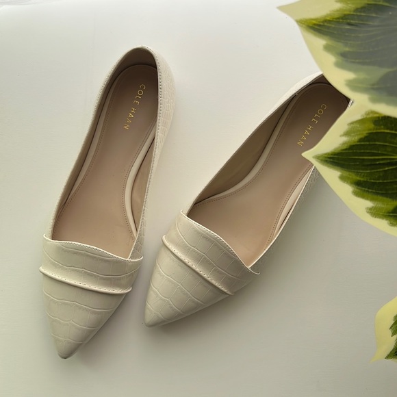 Cole Haan | Shoes | Cole Haan Ellora Skimmer Ivory Crocodile Embossed ...